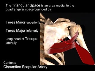 Triangular Interval