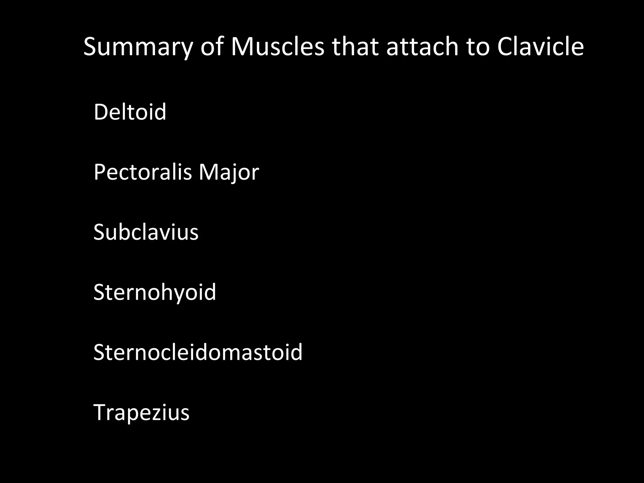 Slideshow: Clavicle | PPT