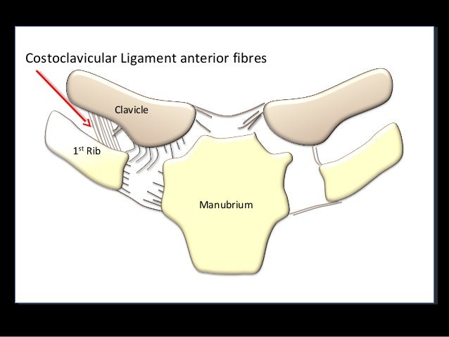 Slideshow: Clavicle