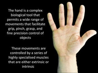 Slideshow: Hand | PPT