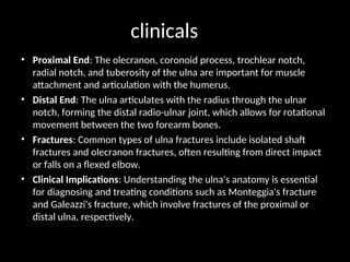 Comprehensive Anatomy and Clinical Overview of the Ulna Bone | PPT