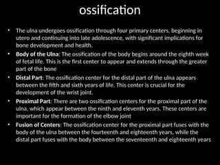 Comprehensive Anatomy and Clinical Overview of the Ulna Bone | PPT