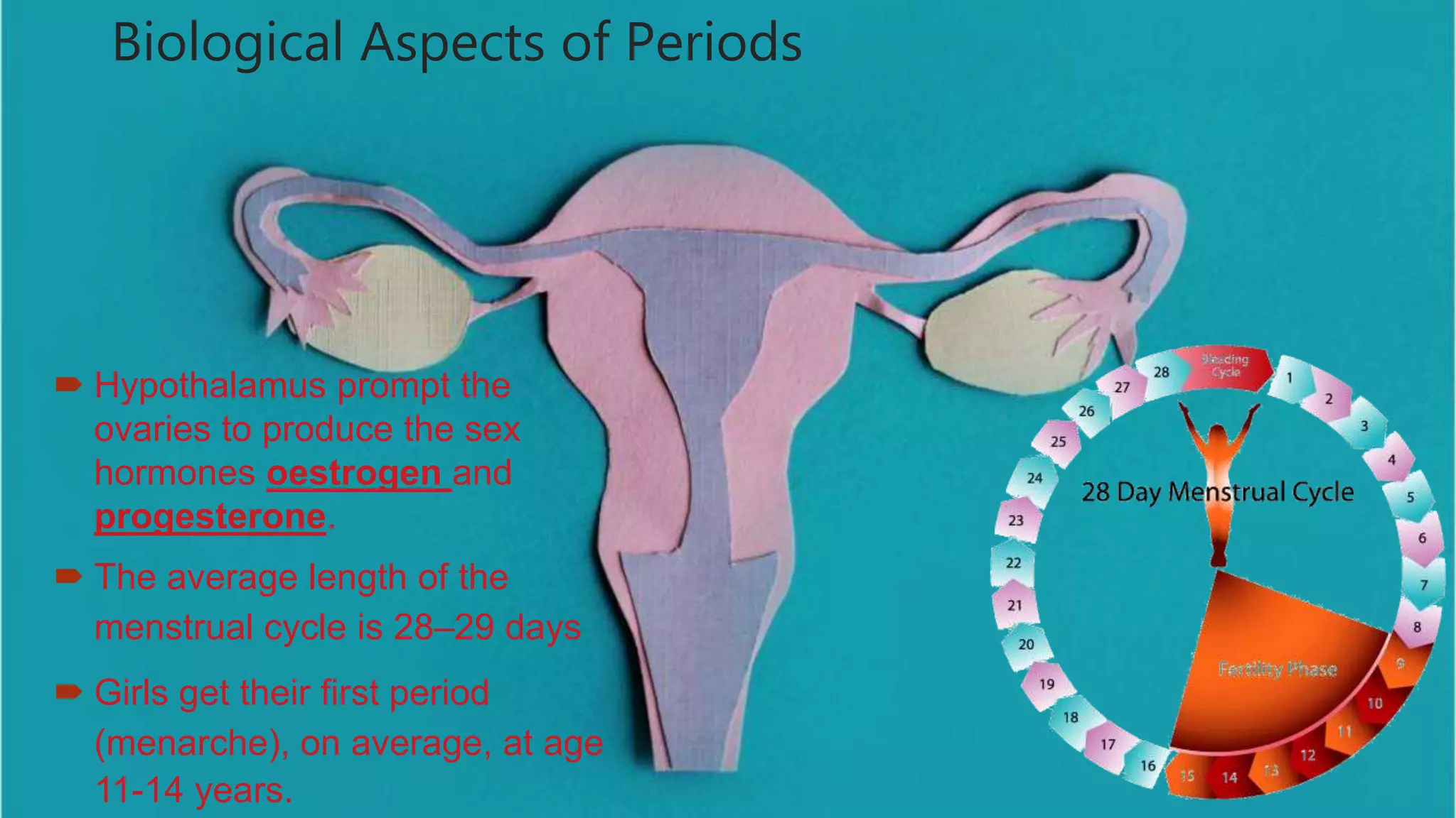 Lets talk about periods!!!! | PPTX