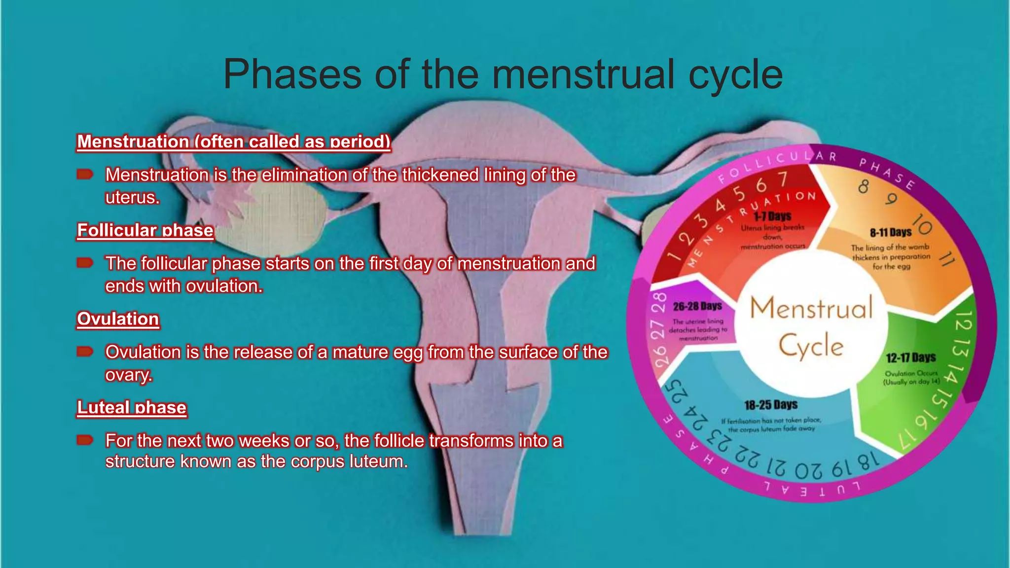 Lets talk about periods!!!! | PPTX
