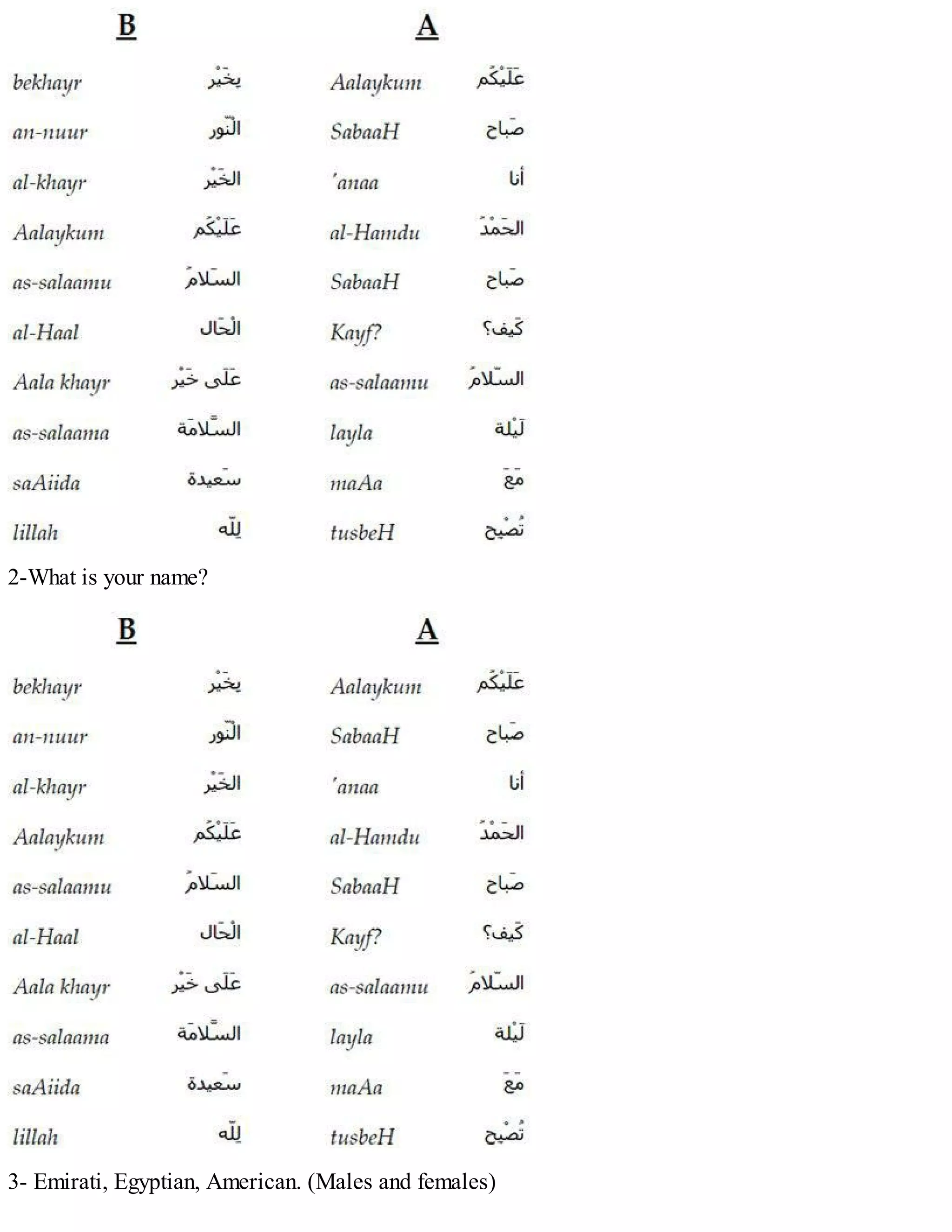 Easy Arabic | PDF