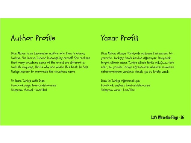 lets wave the flags.pdf