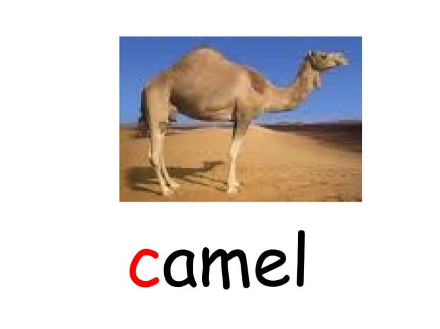 letter C.ppt.pptx english phonics class for esl | PPTX