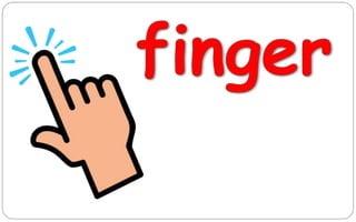 Letter Ee and Letter Ff | PPT