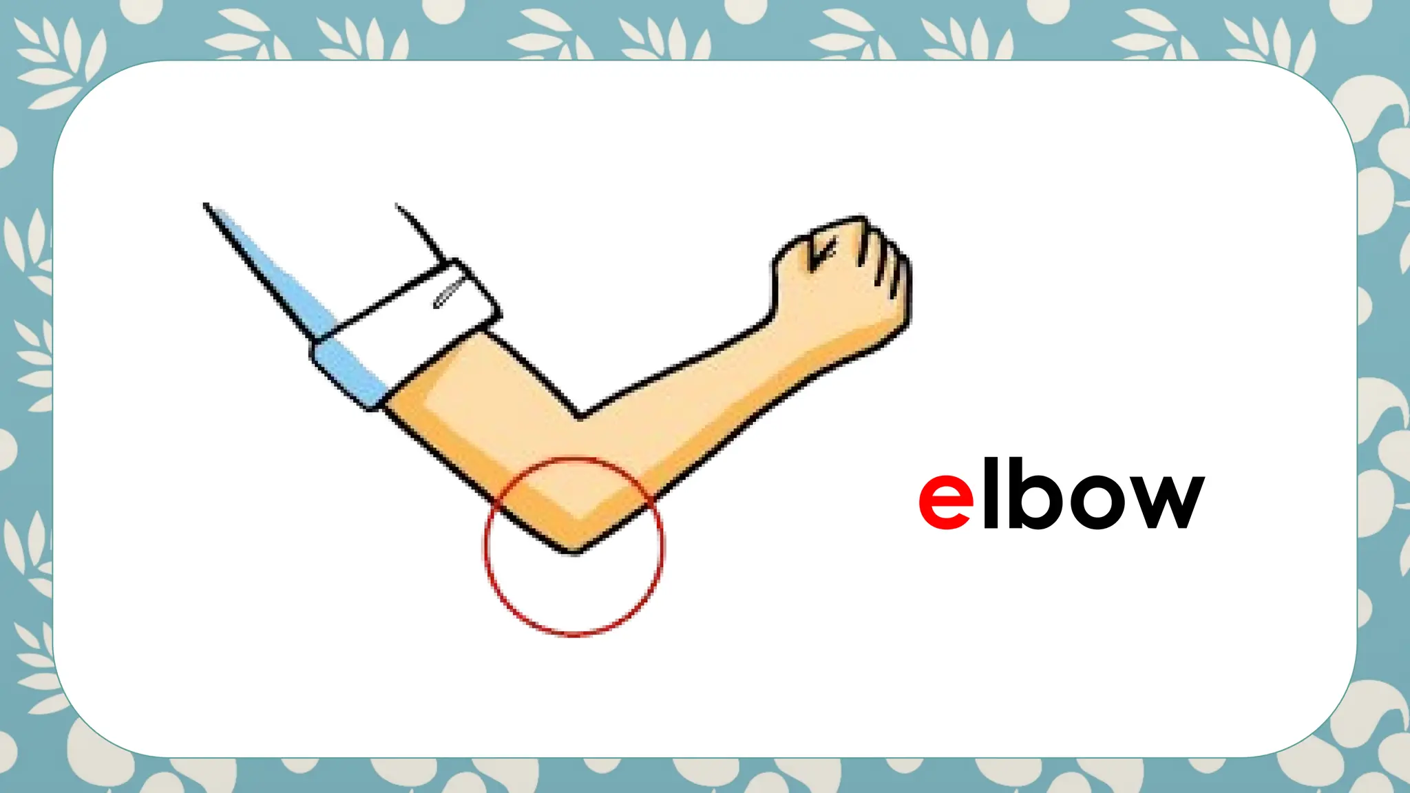 Lesson : Pictures that begin with Letter Ee | PPTX