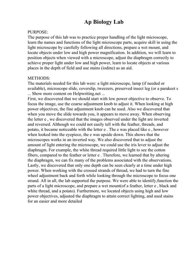 Letter Essay Examples | PDF