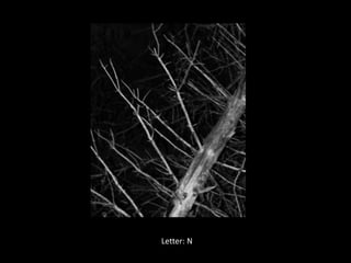 Letterform powerpoint | PPT