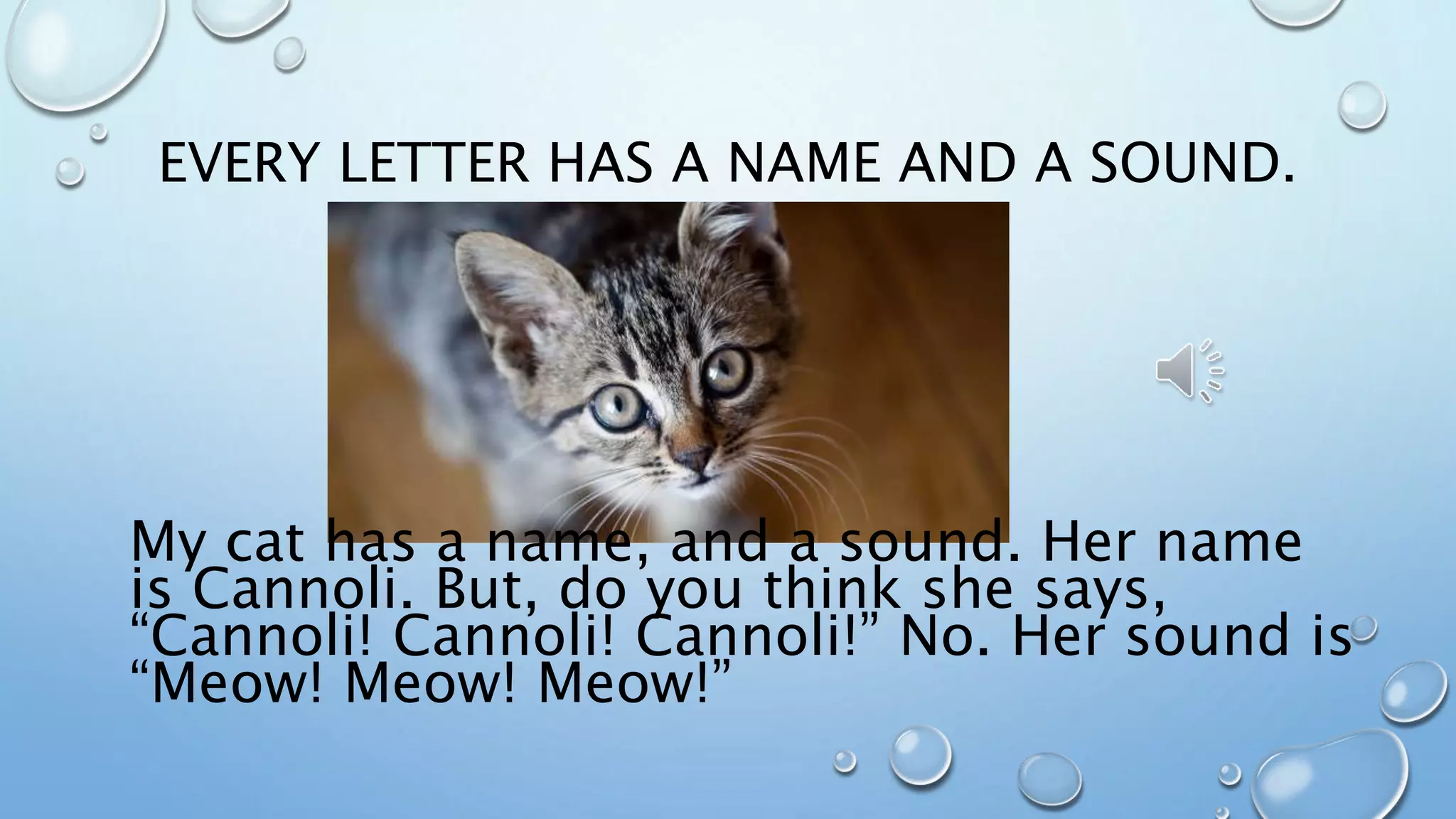 Letter names and sounds screener | PPT