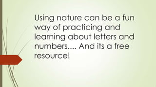 Letters and numbers in nature task 2 | PPTX