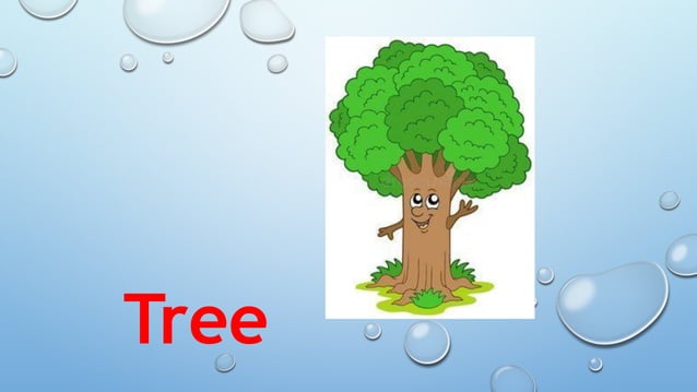 Phonics English Lesson Letters S, T words | PDF