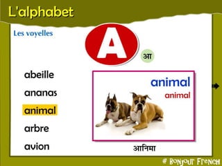 French Alphabets | PPTX