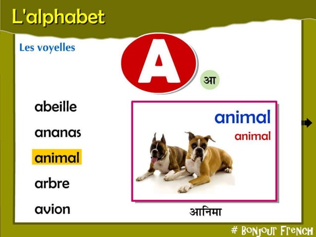 French Alphabets | PPT