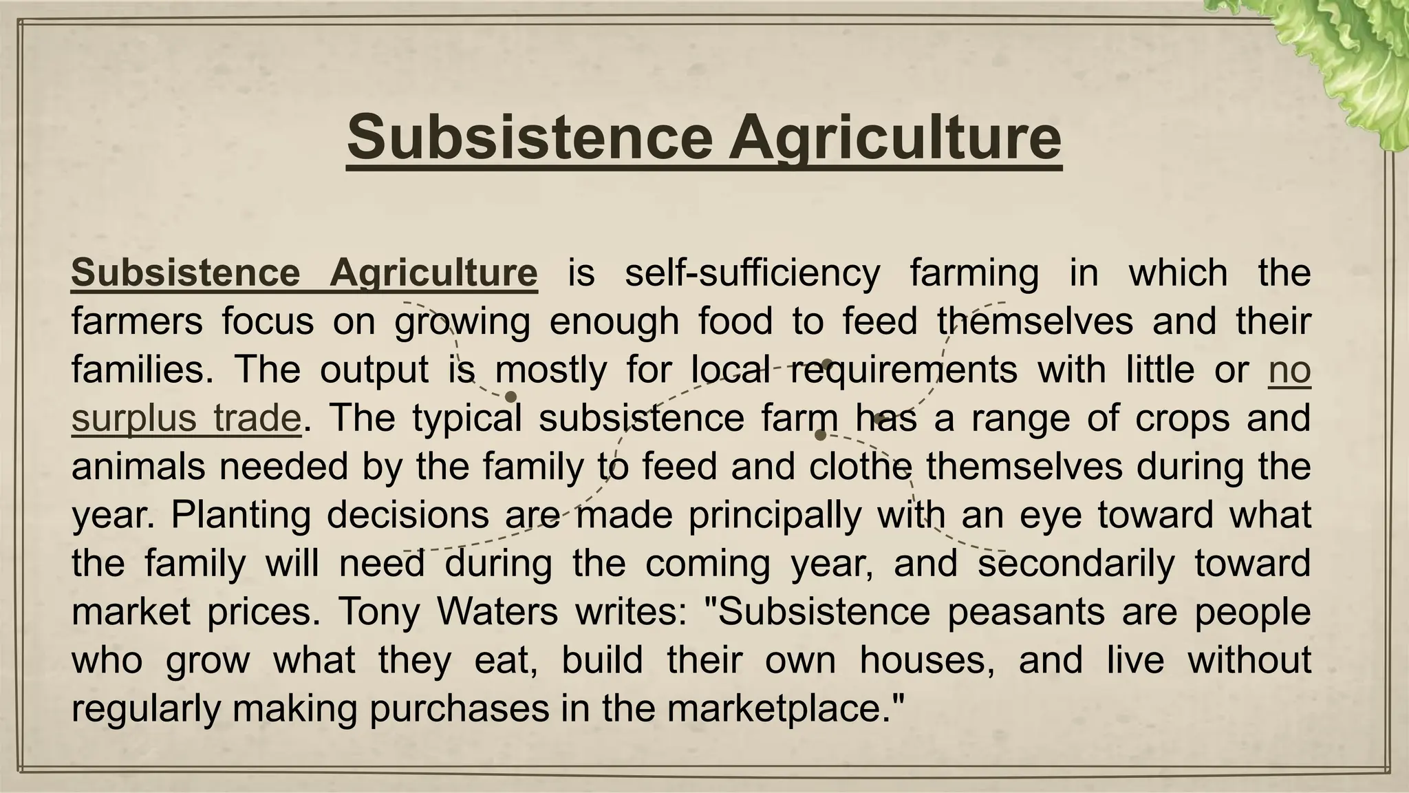 lettuce-farming--agriculture and agronomy | PPTX