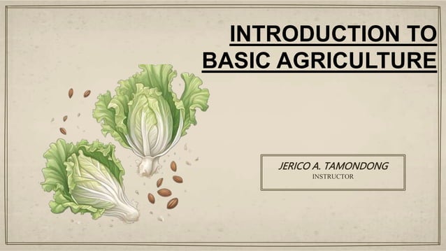 lettuce-farming--agriculture and agronomy | PPT