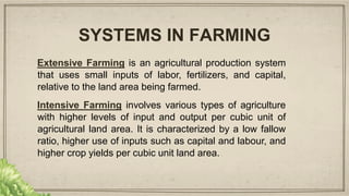lettuce-farming--agriculture and agronomy | PPTX