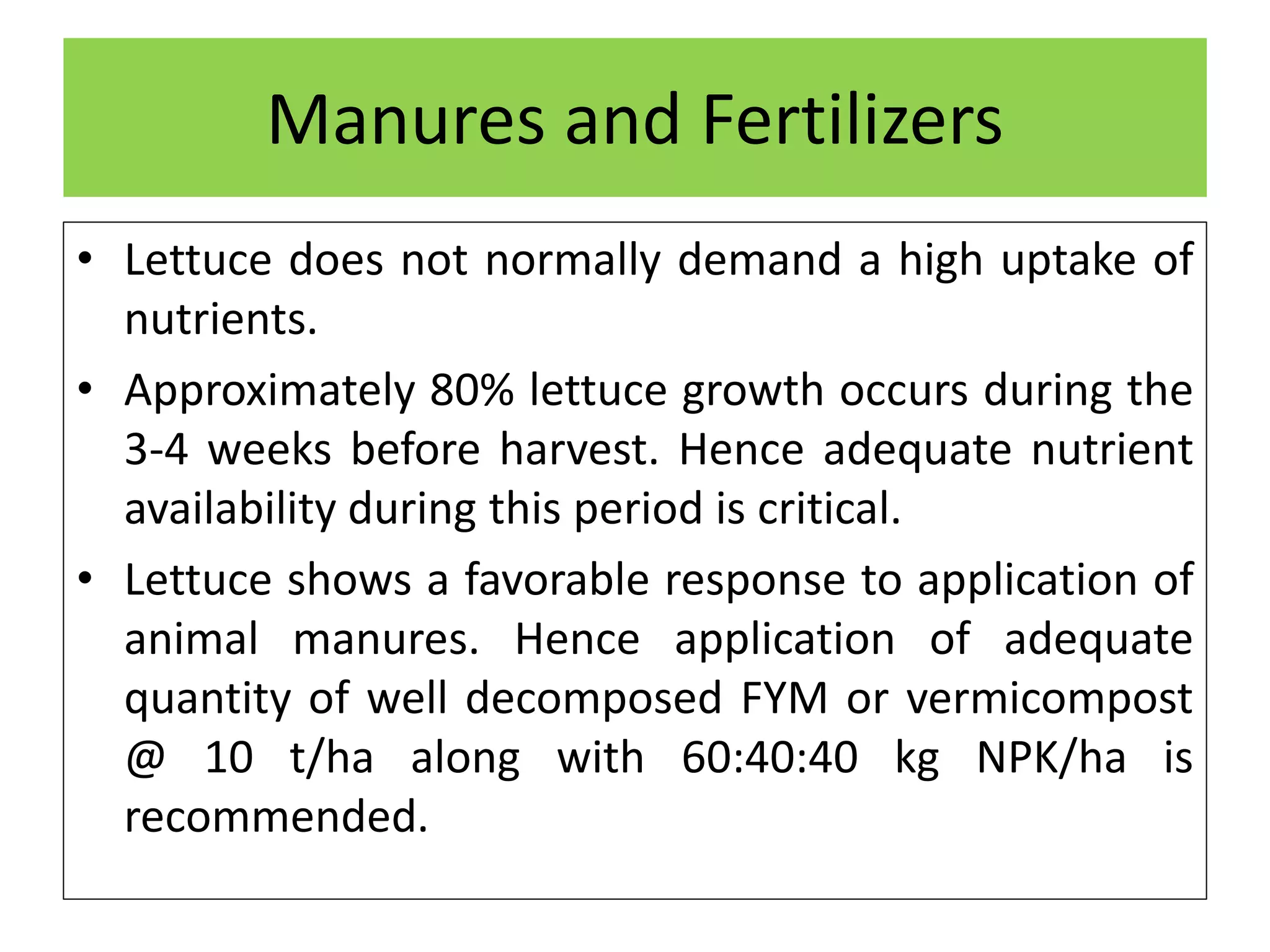 Production technology of Lettuce | PPTX