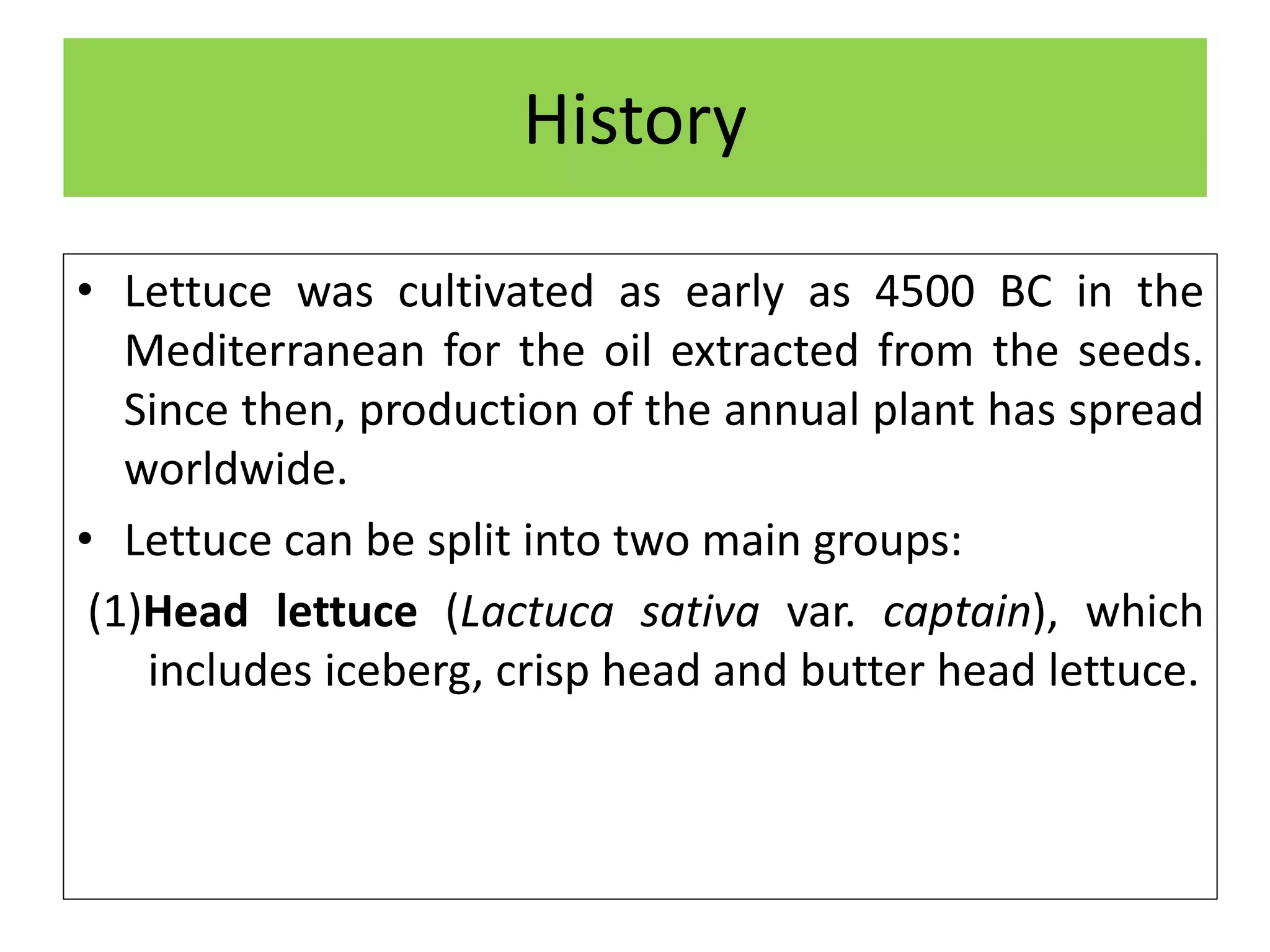 Production technology of Lettuce | PPTX