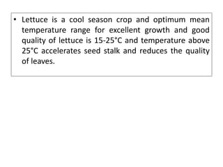 Production technology of Lettuce | PPTX