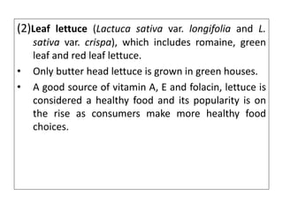 Production technology of Lettuce | PPTX