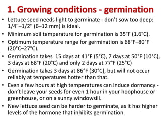 Lettuce Year Round Pam Dawling 90 mins 2024.pdf
