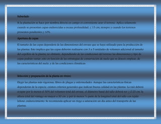 Leucaena semillas para le venta | PPT