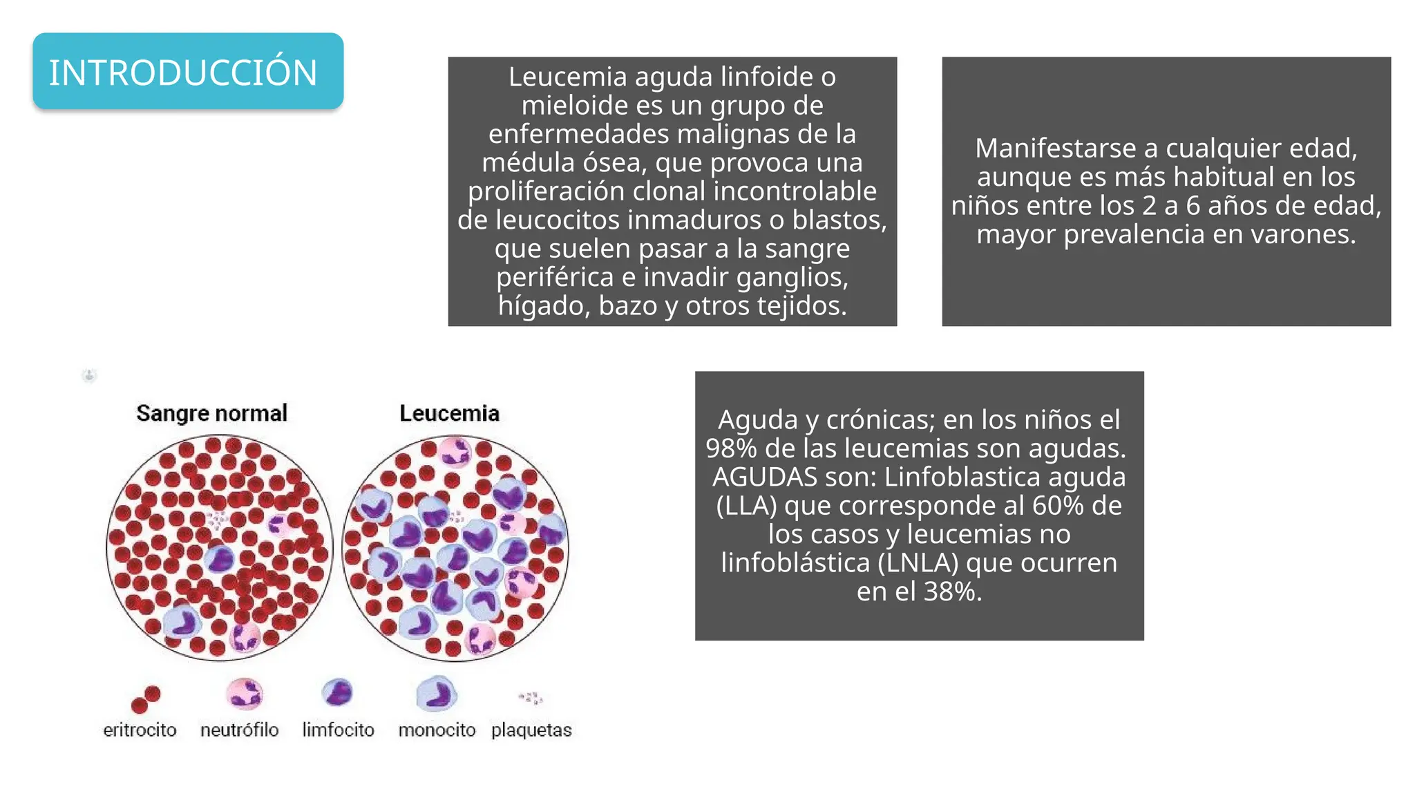 LEUCEMIA LINFOBLASTICA AGUDA EN PEDIATRÍA | PPTX