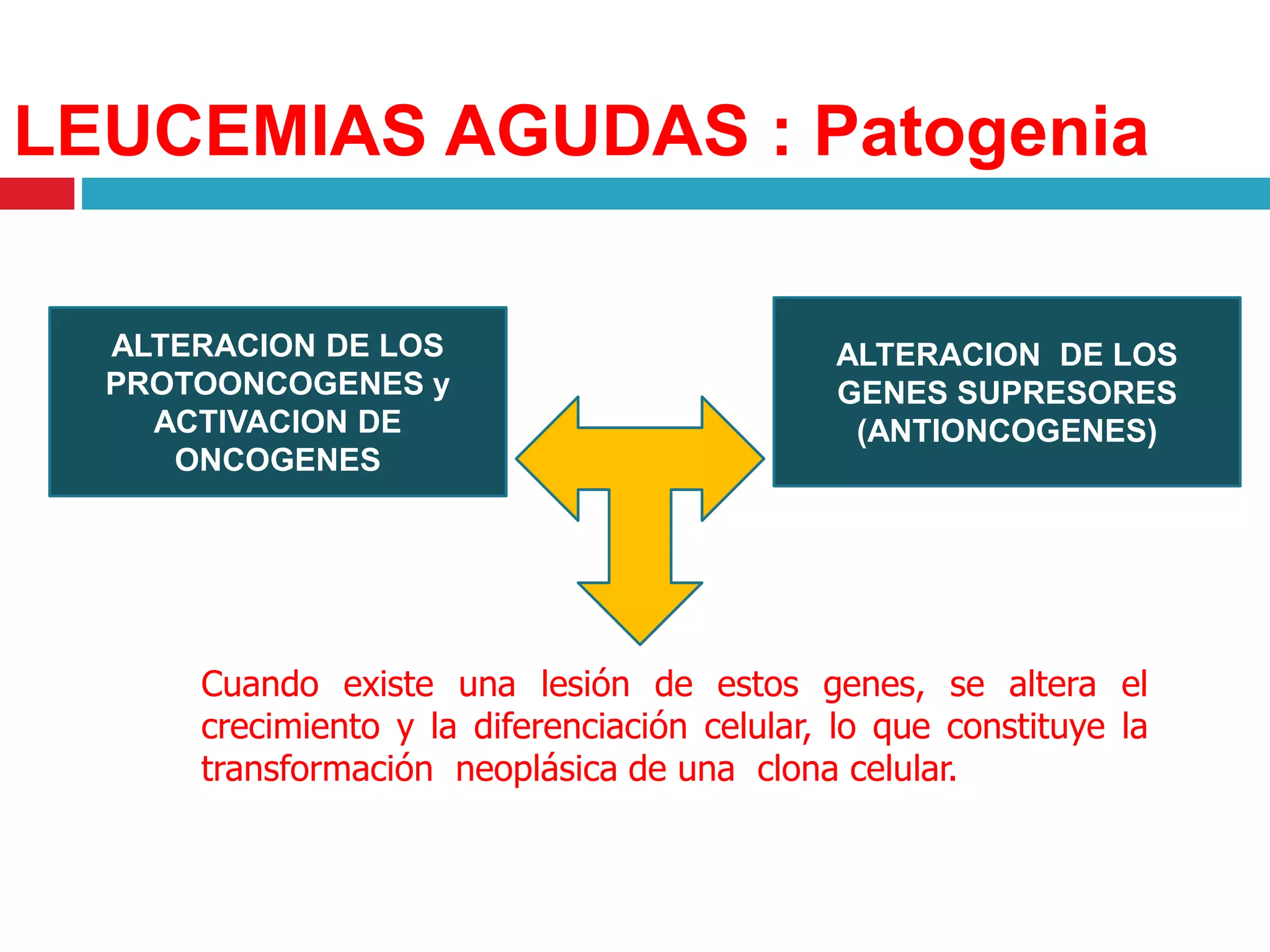 Leucemia aguda en pediatría jvv | PPTX