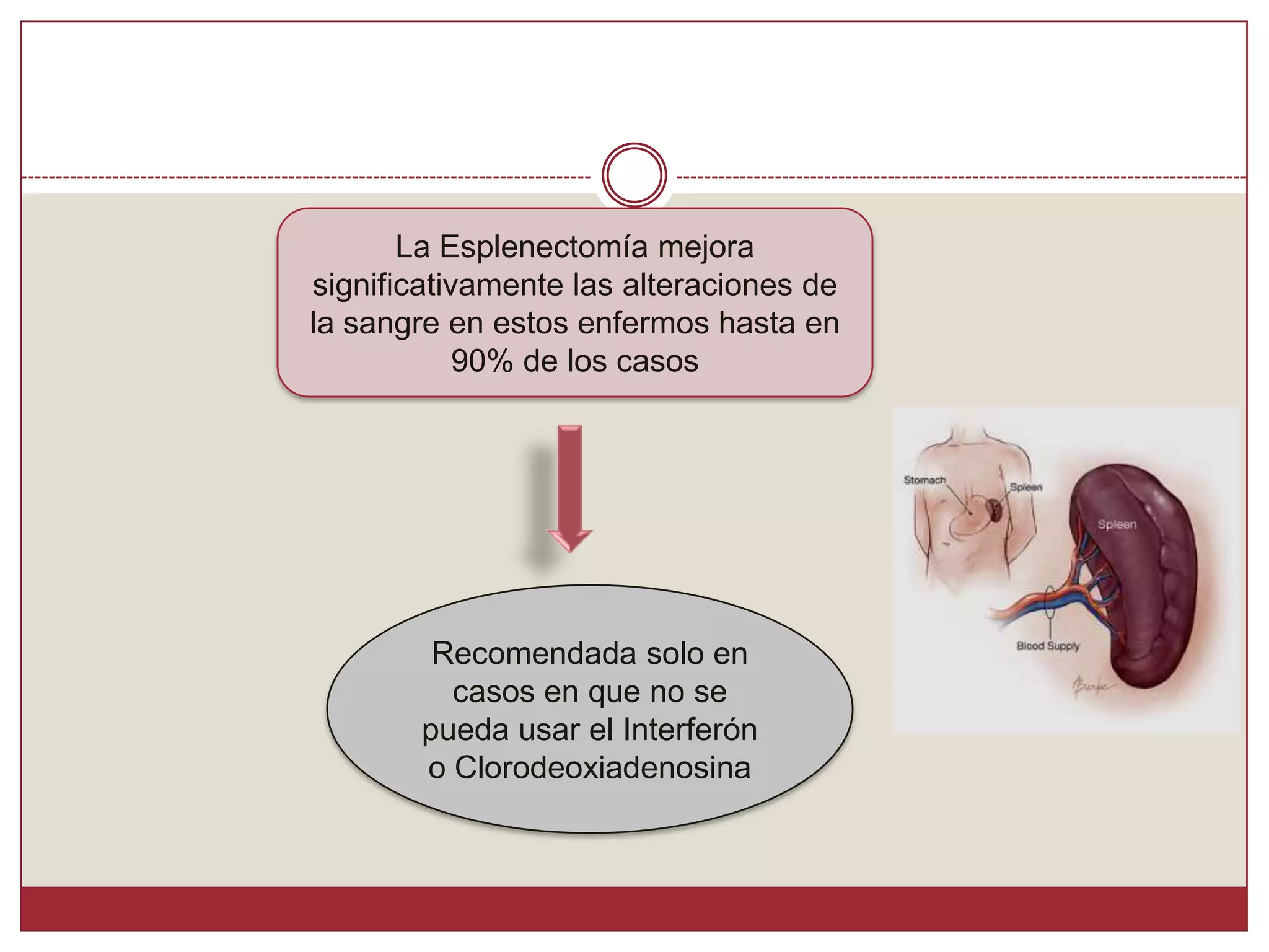 Leucemia De Celulas Peludas | PPTX