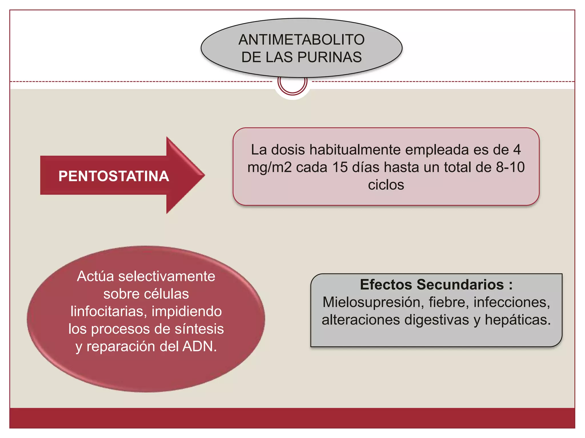 Leucemia De Celulas Peludas | PPTX