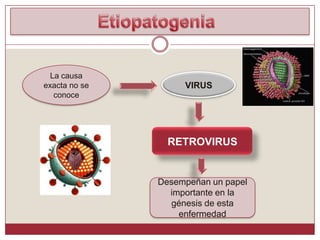 Leucemia De Celulas Peludas | PPTX