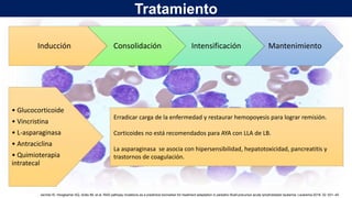 Leucemia Linfoblástica aguda en urgencias | PPTX