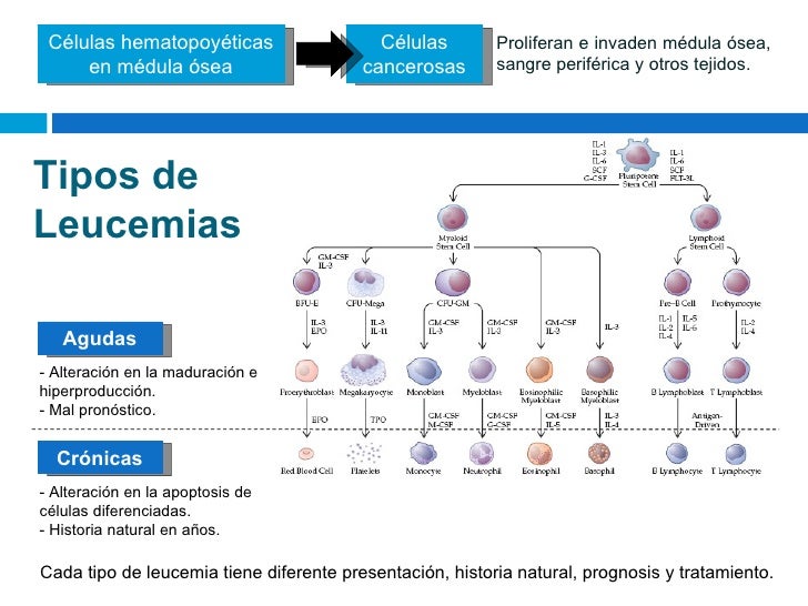 Leucemia promielocítica aguda (seminario)