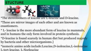 LEUCINE METABOLISM | PPTX