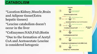 LEUCINE METABOLISM | PPTX