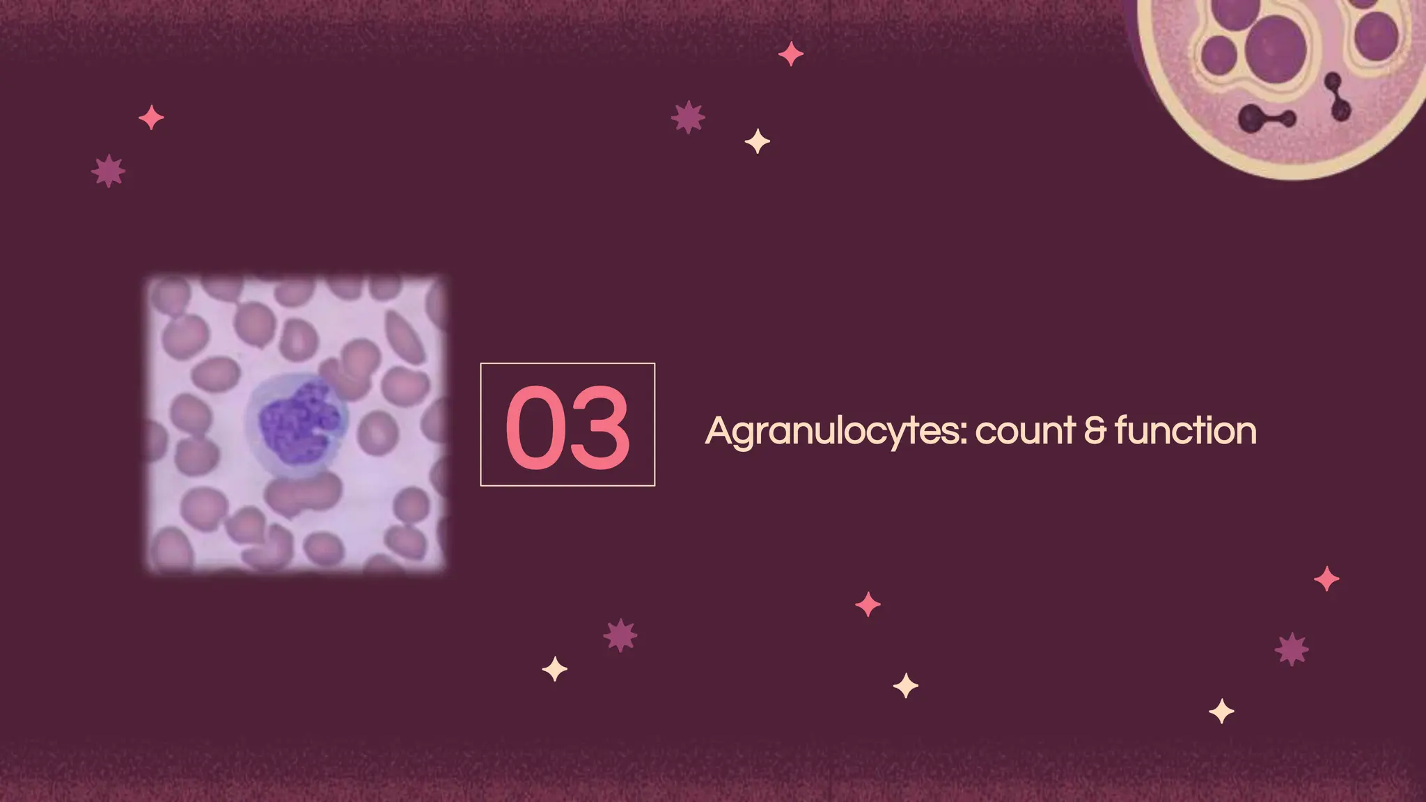 Differential Leukocyte count and function | PPTX
