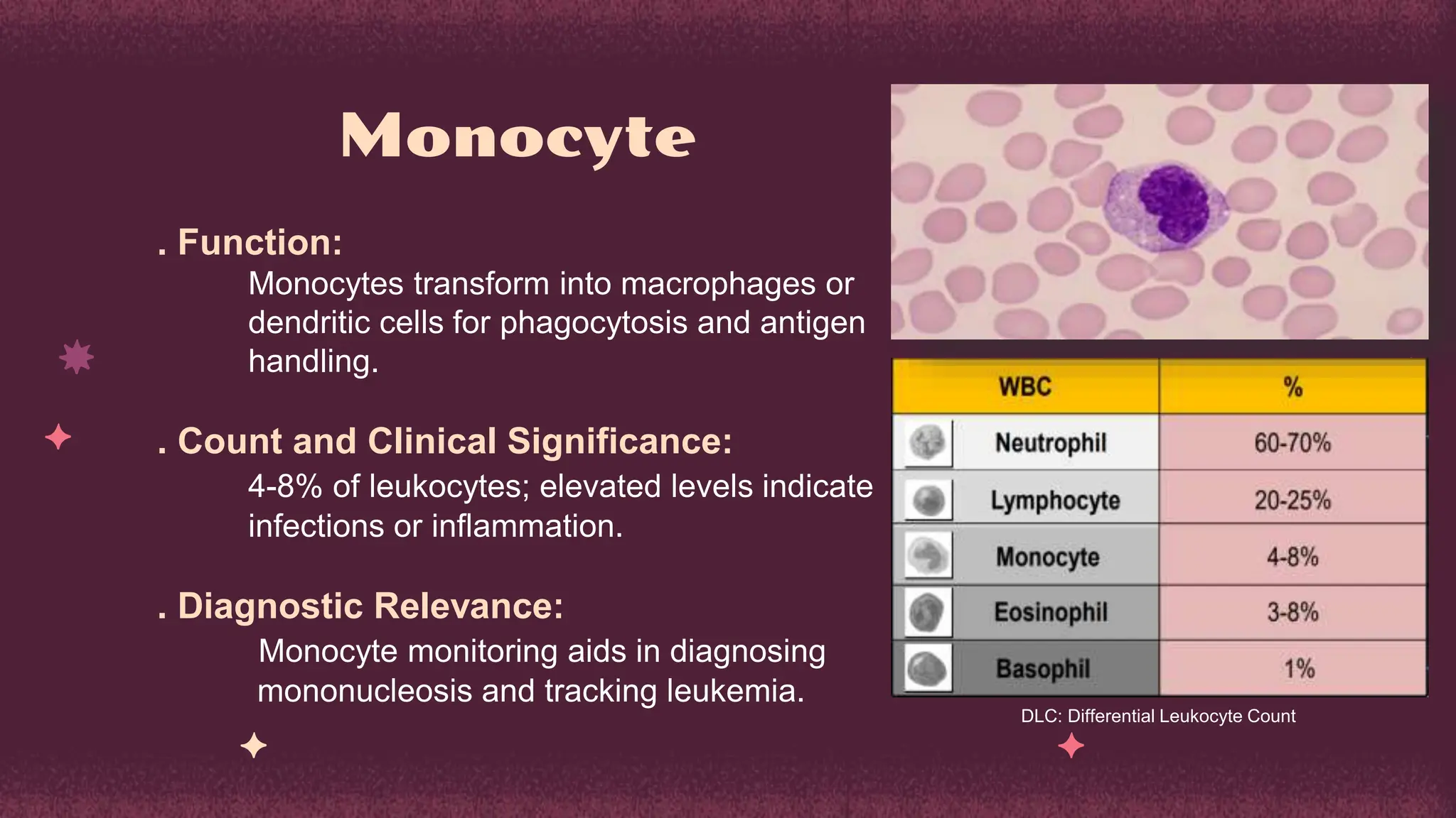 Differential Leukocyte count and function | PPTX