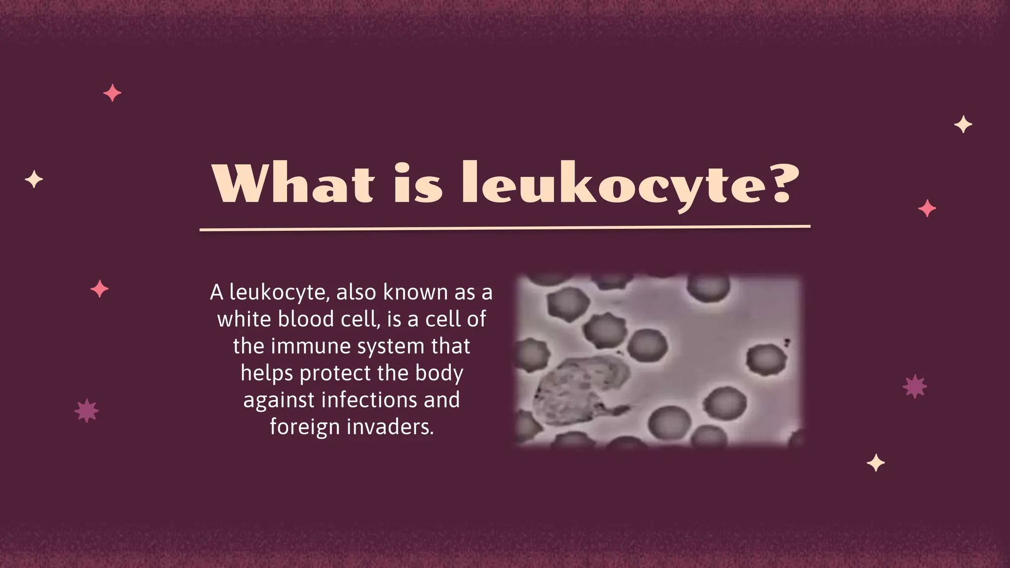 Differential Leukocyte count and function | PPTX