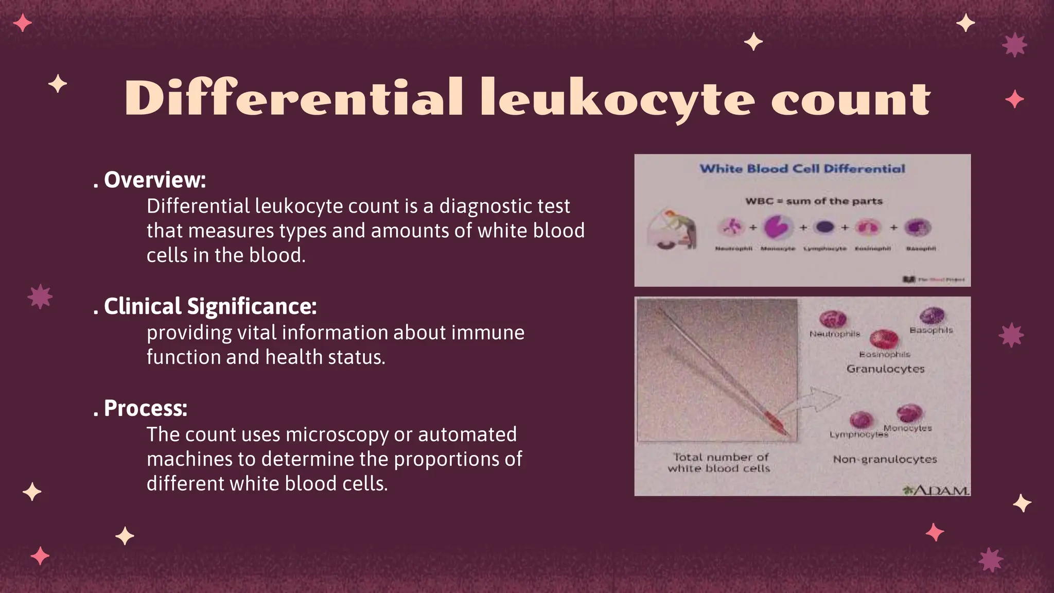 Differential Leukocyte count and function | PPTX