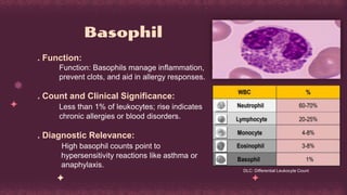 Differential Leukocyte count and function | PPTX