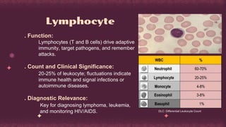 Differential Leukocyte count and function | PPTX