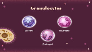 Differential Leukocyte count and function | PPTX