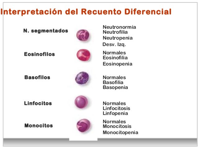 Leucograma Segmentados