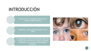 Leucocoria | PPTX