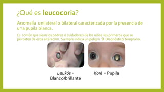 Leucocorias | PPT