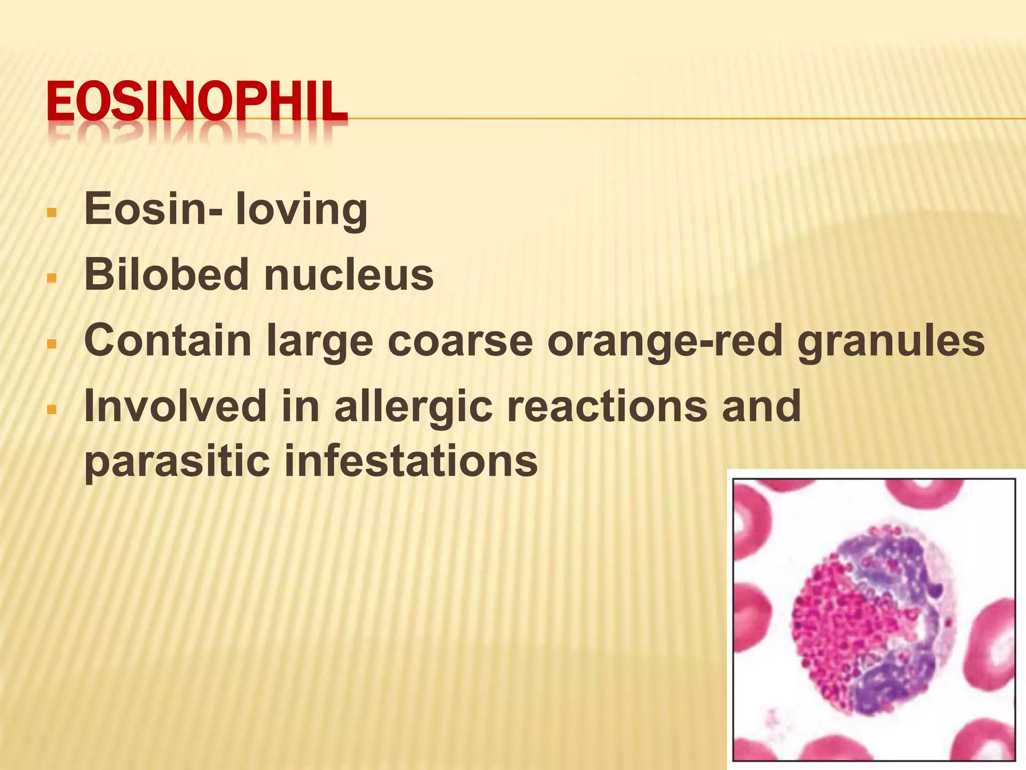 Leucocytes | PPTX
