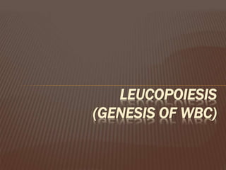 Leucocytes | PPTX